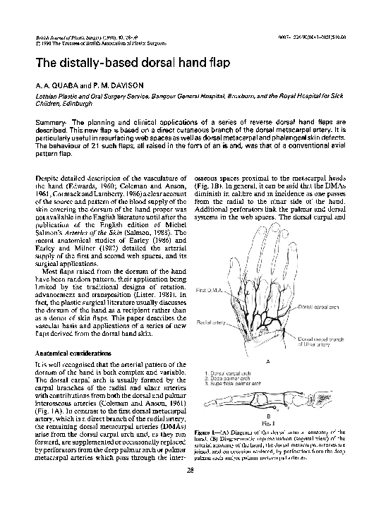 (PDF) The distally-based dorsal hand flap