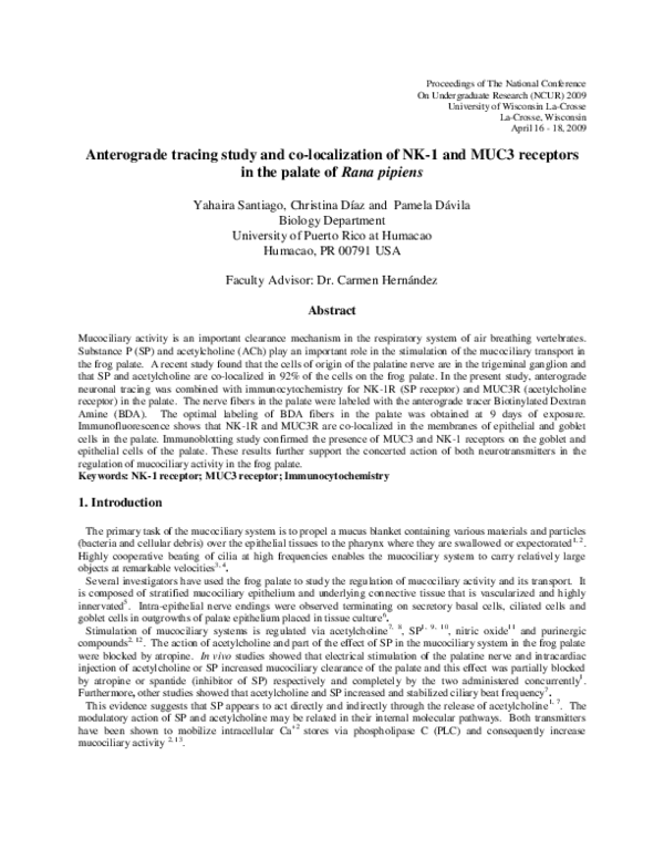 (PDF) Tracing NK-1 and MUC3 Receptors in Rana pipiens Palate