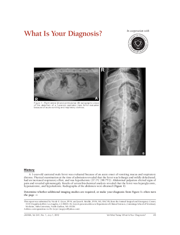 (PDF) What is your diagnosis? Gastric dilatation-volvulus (GDV) with ...