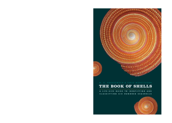 (PDF) The Book of Shells