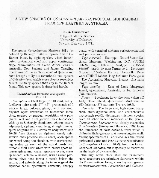 (PDF) A new species of Columbarium (Gastropoda: Muricacea) from off eastern Australia