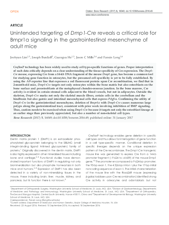 (PDF) Unintended targeting of Dmp1-Cre reveals a critical role for ...