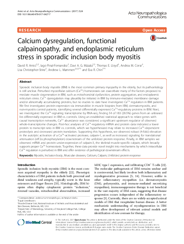 (PDF) Calcium dysregulation, functional calpainopathy, and endoplasmic ...