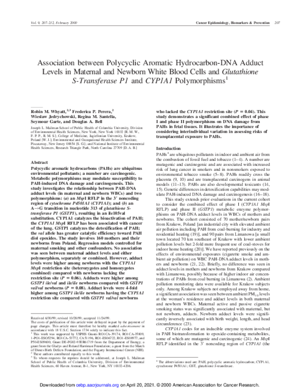(PDF) Association between polycyclic aromatic hydrocarbon-DNA adduct levels in maternal and ...
