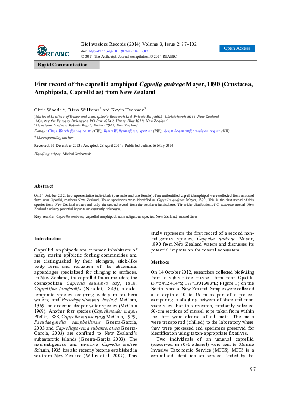 (PDF) First record of the caprellid amphipod Caprella andreae Mayer ...