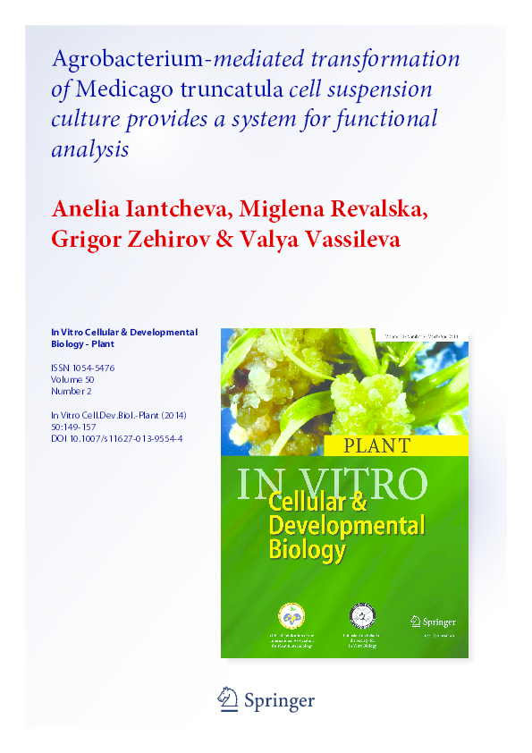 (PDF) Agrobacterium-mediated transformation of Medicago truncatula cell ...
