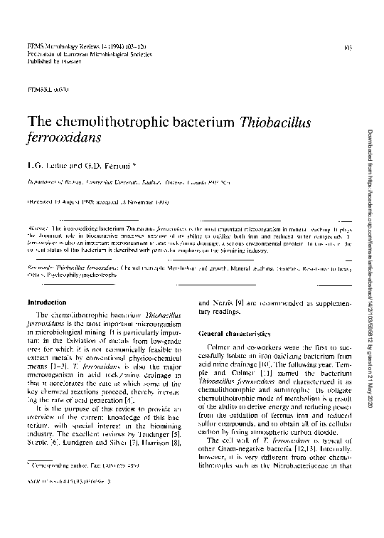 (PDF) The chemolithotrophic bacterium Thiobacillus ferrooxidans
