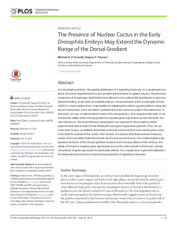 (PDF) The presence of nuclear cactus in the early Drosophila embryo may ...