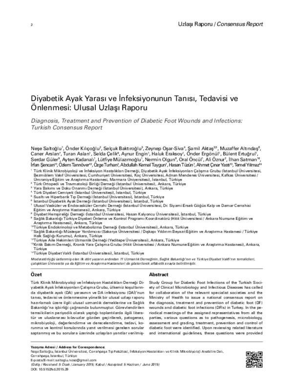 (PDF) Diagnosis, Treatment and Prevention of Diabetic Foot Wounds and ...