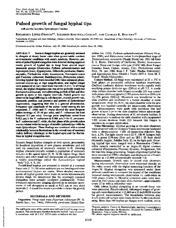 (PDF) Pulsed growth of fungal hyphal tips