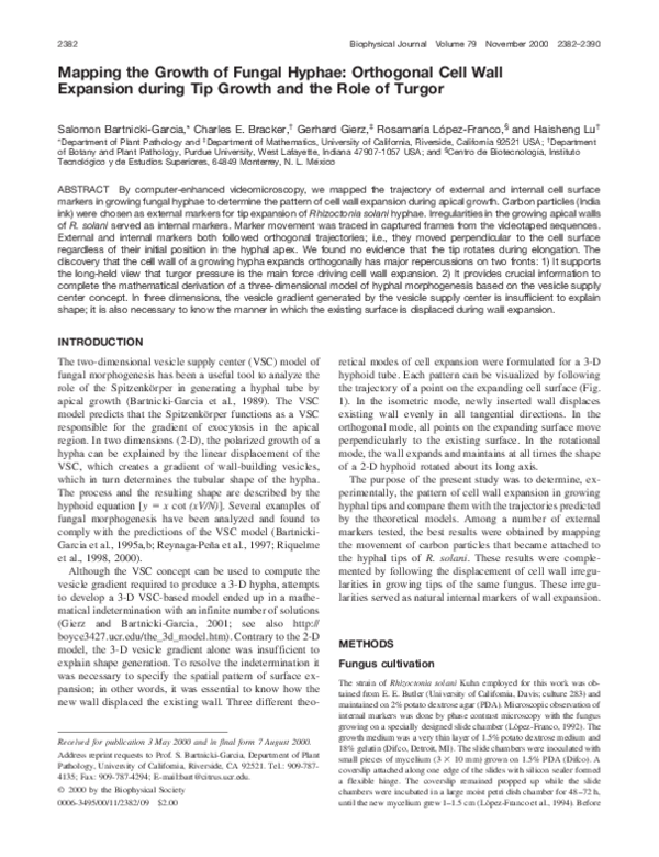 (PDF) Determinants of fungal cell wall morphology: the vesicle supply ...