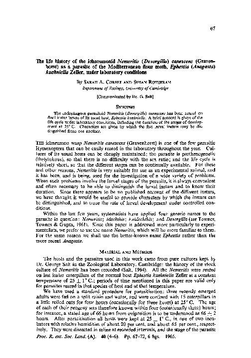 (PDF) The life history of the ichneumonid Nemeritis (Devorgilla ...