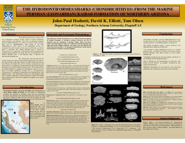 (PDF) THE HYBODONTIFORM SHARKS (CHONDRICHTHYES) FROM THE MARINE PERMIAN ...