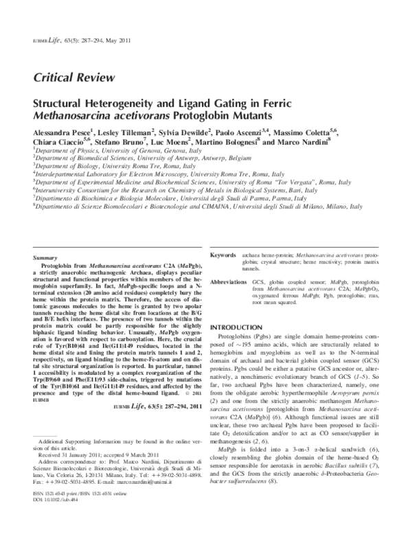 (PDF) Structural heterogeneity and ligand gating in ferric ...