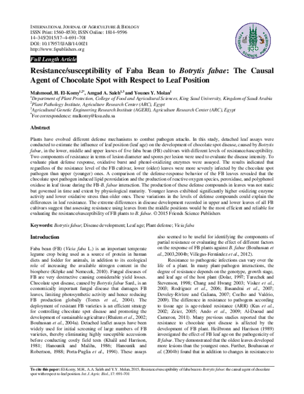 (PDF) Resistance/susceptibility of faba bean to Botrytis fabae: The ...