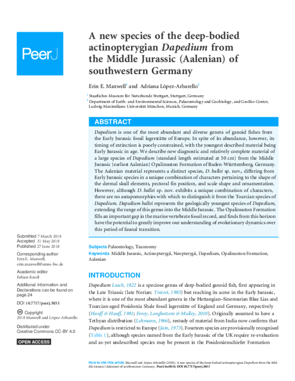 (PDF) A new species of the deep-bodied actinopterygian Dapedium from ...