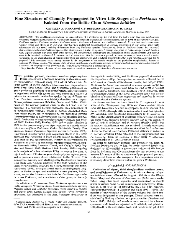 (PDF) Fine Structure of Clonally Propagated In Vitro Life Stages of a ...