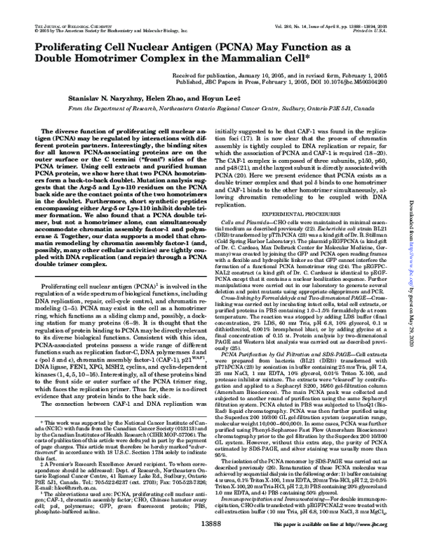 (PDF) Proliferating Cell Nuclear Antigen (PCNA) May Function as a ...