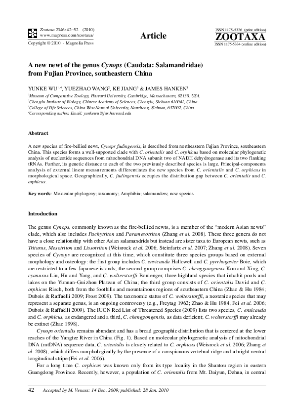 (PDF) A New Newt of the Genus Cynops (Caudata: Salamandridae) from ...