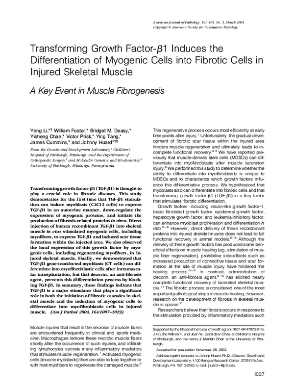 (PDF) A rat model for reconstruction of ablated muscle | Vincenzo Vindigni - Academia.edu