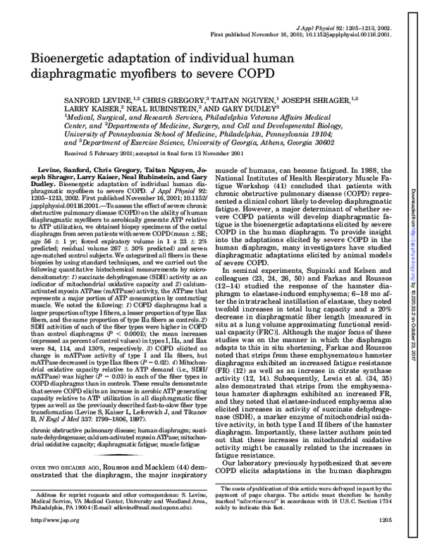 (PDF) Bioenergetic adaptation of individual human diaphragmatic ...