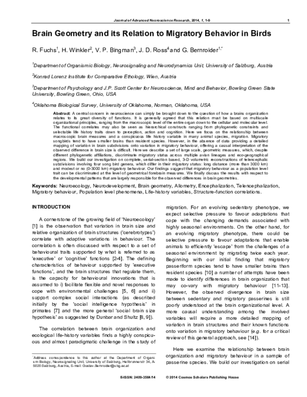 (PDF) Brain Geometry and its Relation to Migratory Behavior in Birds