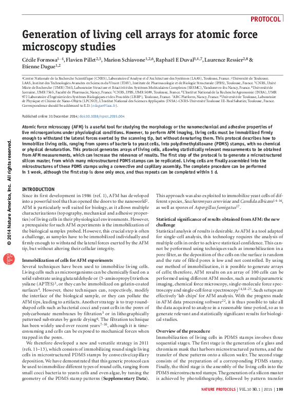 (PDF) Generation of living cell arrays for atomic force microscopy studies
