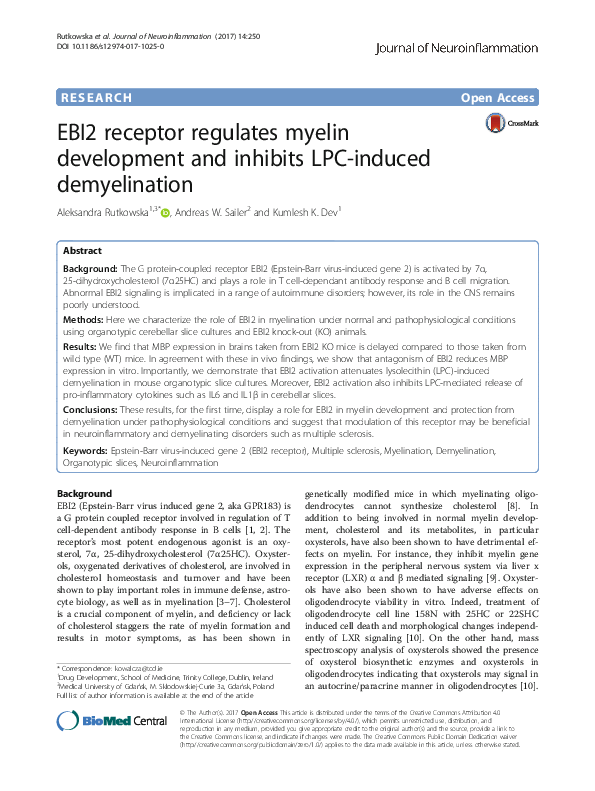(PDF) EBI2 receptor regulates myelin development and inhibits LPC ...