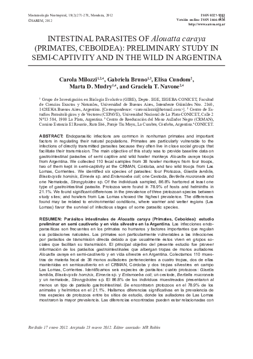 (PDF) Parásitos intestinales de Alouatta caraya (Primates, Ceboidea ...