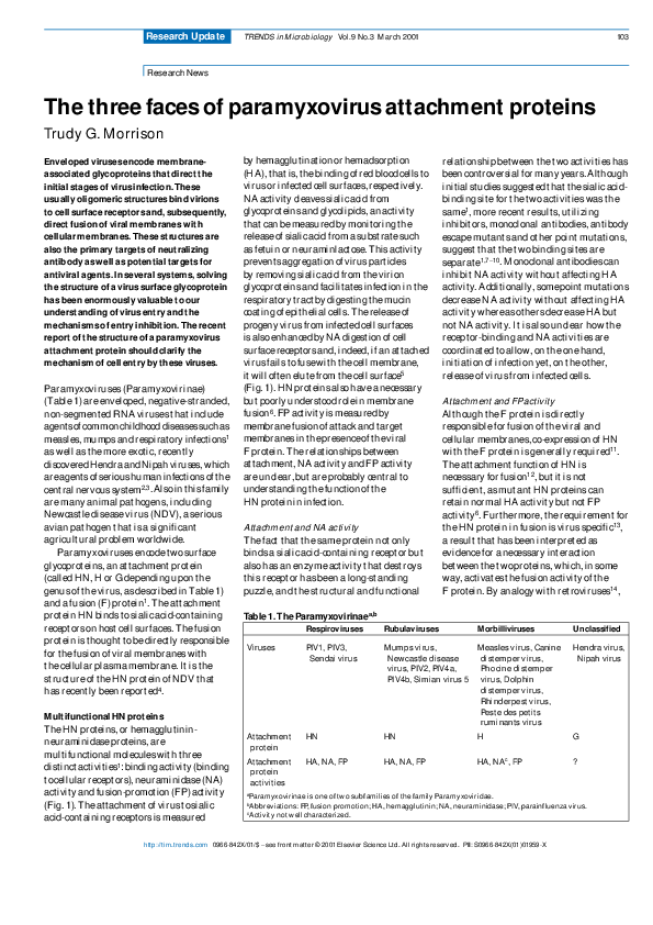 (PDF) The three faces of paramyxovirus attachment proteins