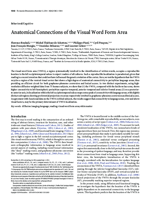 (PDF) Anatomical Connections of the Visual Word Form Area