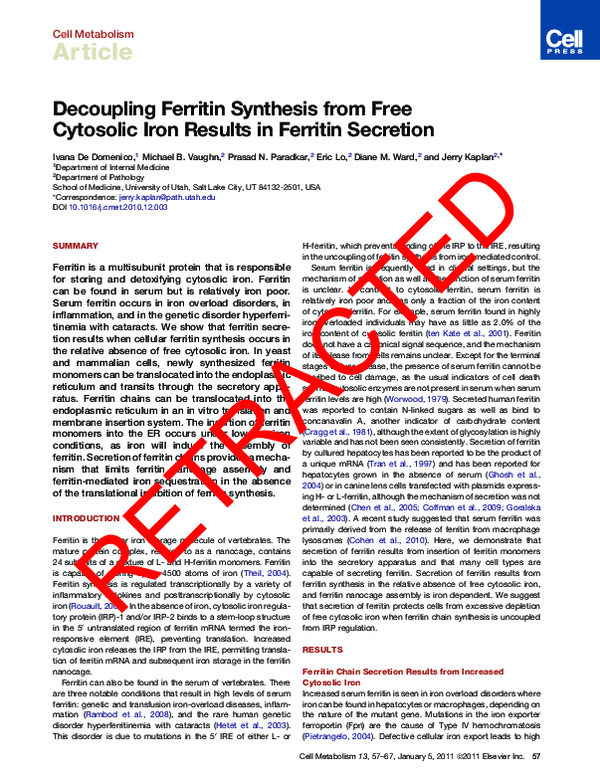 (PDF) RETRACTED: Decoupling Ferritin Synthesis from Free Cytosolic Iron ...