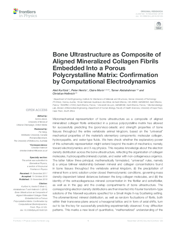 (PDF) Bone Ultrastructure as Composite of Aligned Mineralized Collagen ...
