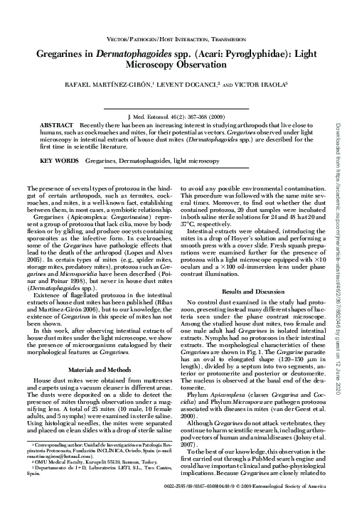 (PDF) Gregarines in Dermatophagoides spp. (Acari: Pyroglyphidae): Light ...