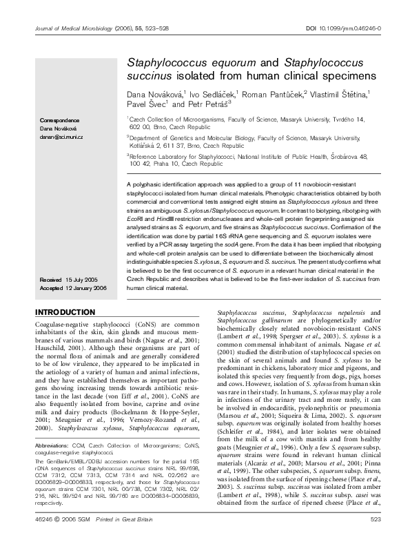 (PDF) Staphylococcus equorum and Staphylococcus succinus isolated from ...