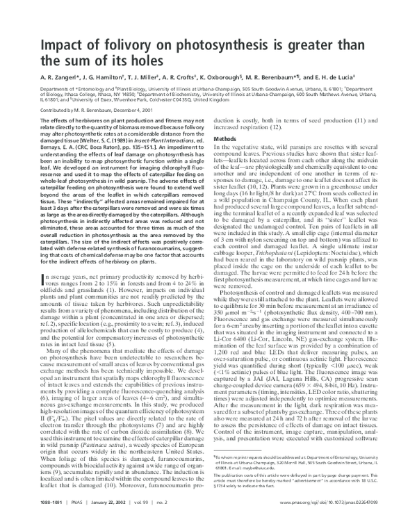 (PDF) Impact of folivory on photosynthesis is greater than the sum of ...