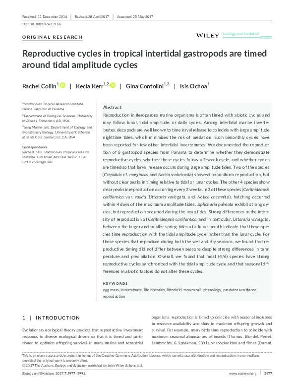 (PDF) Reproductive cycles in tropical intertidal gastropods are timed ...