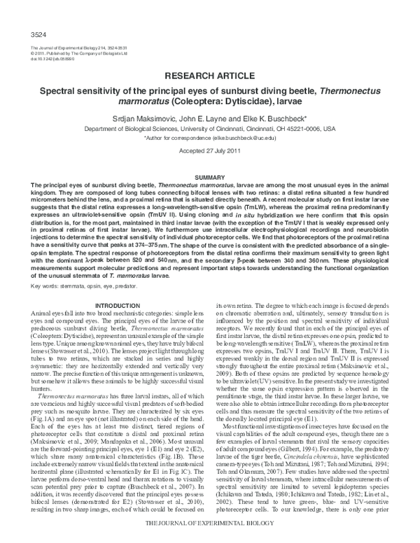 (PDF) Spectral sensitivity of the principal eyes of sunburst diving ...