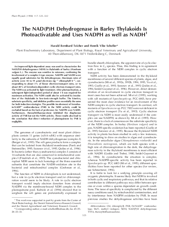 (PDF) The NAD(P)H Dehydrogenase in Barley Thylakoids Is ...