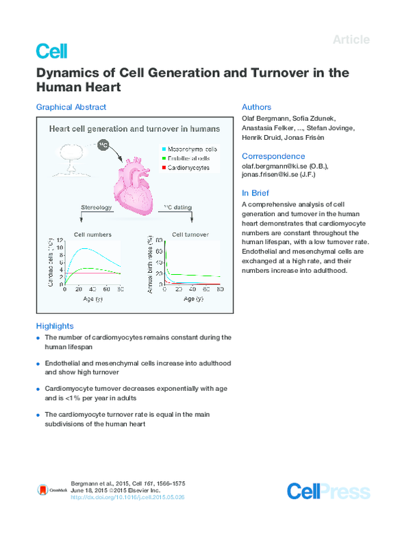 (PDF) Dynamics of Cell Generation and Turnover in the Human Heart