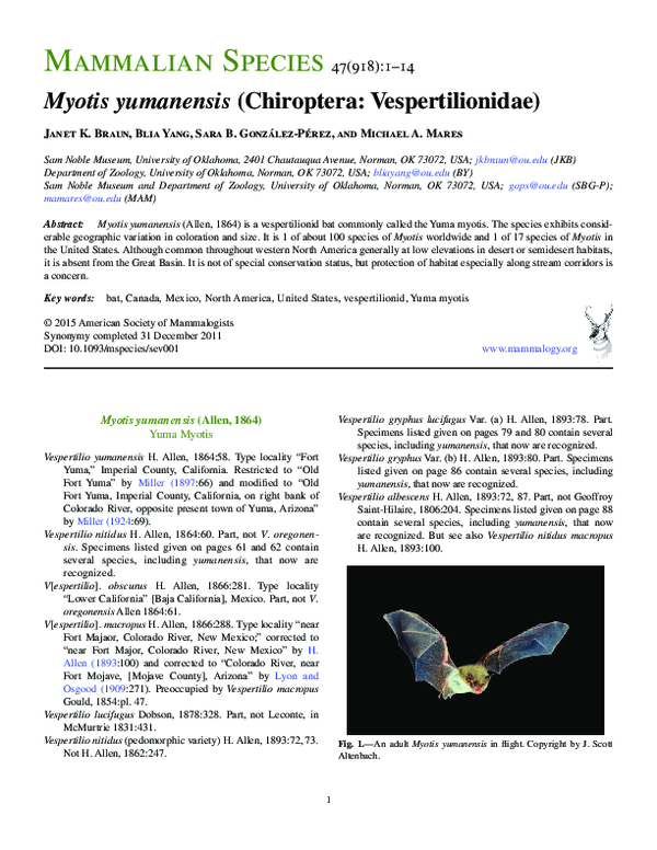 (PDF) Yuma Myotis: Geographic Variation and Habitat