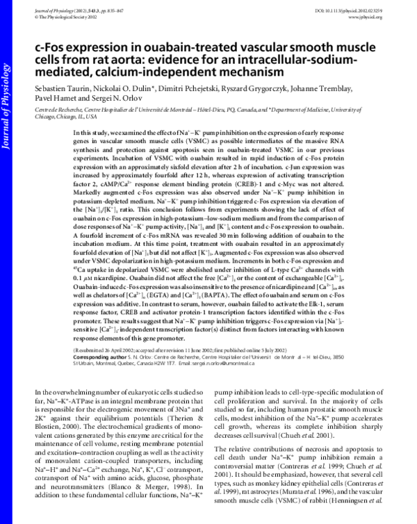 (PDF) c-Fos expression in ouabain-treated vascular smooth muscle cells ...