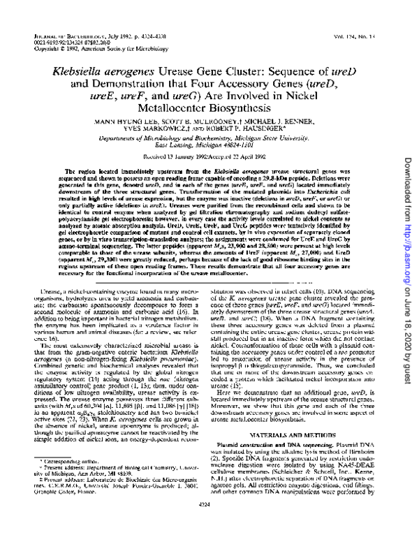 (PDF) Klebsiella aerogenes urease gene cluster: sequence of ureD and ...