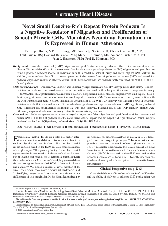 (PDF) Novel Small Leucine-Rich Repeat Protein Podocan Is a Negative ...