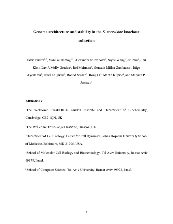 (PDF) Genome Stability in Yeast Knockout Collection