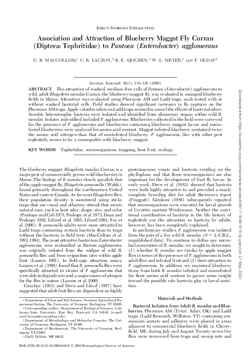 (PDF) Association and Attraction of Blueberry Maggot Fly Curran ...