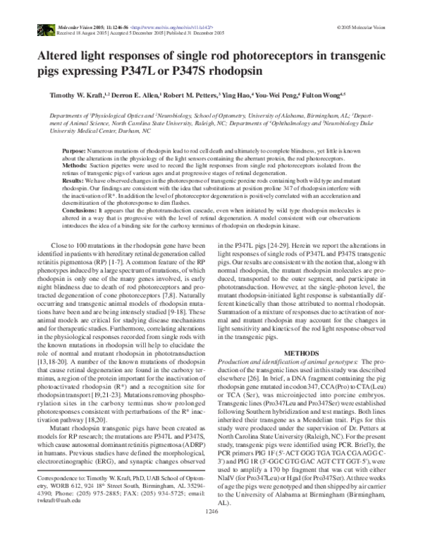 (PDF) Altered light responses of single rod photoreceptors in transgenic pigs expressing P347L ...
