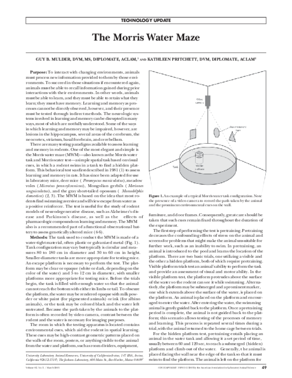 (PDF) The Morris water maze