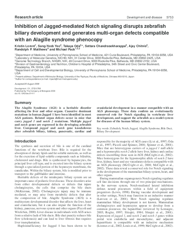 (PDF) Inhibition of Jagged-mediated Notch signaling disrupts zebrafish ...