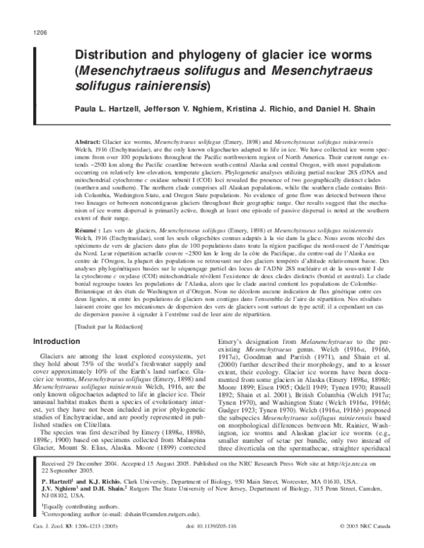 (PDF) Distribution and phylogeny of glacier ice worms ( Mesenchytraeus ...